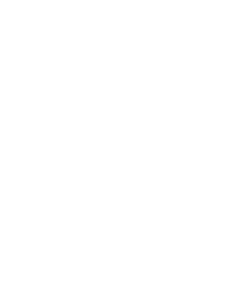 O Cosmedics EFA Max Complex 1000mg 100 Caps - Bare Skincare and Beauty ...